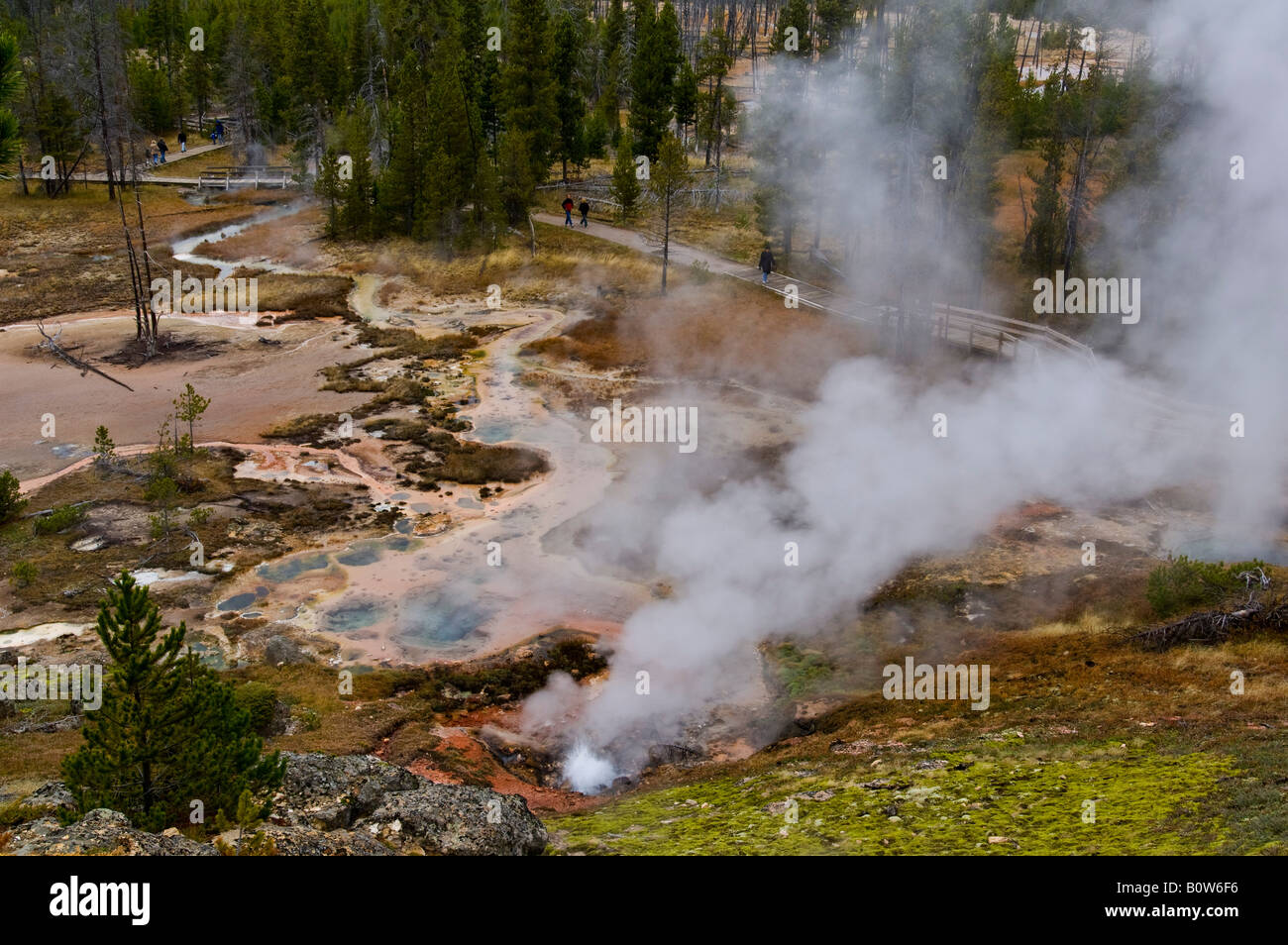 Steam rising from geothermal vents and hot springs at Artists Paintpots ...