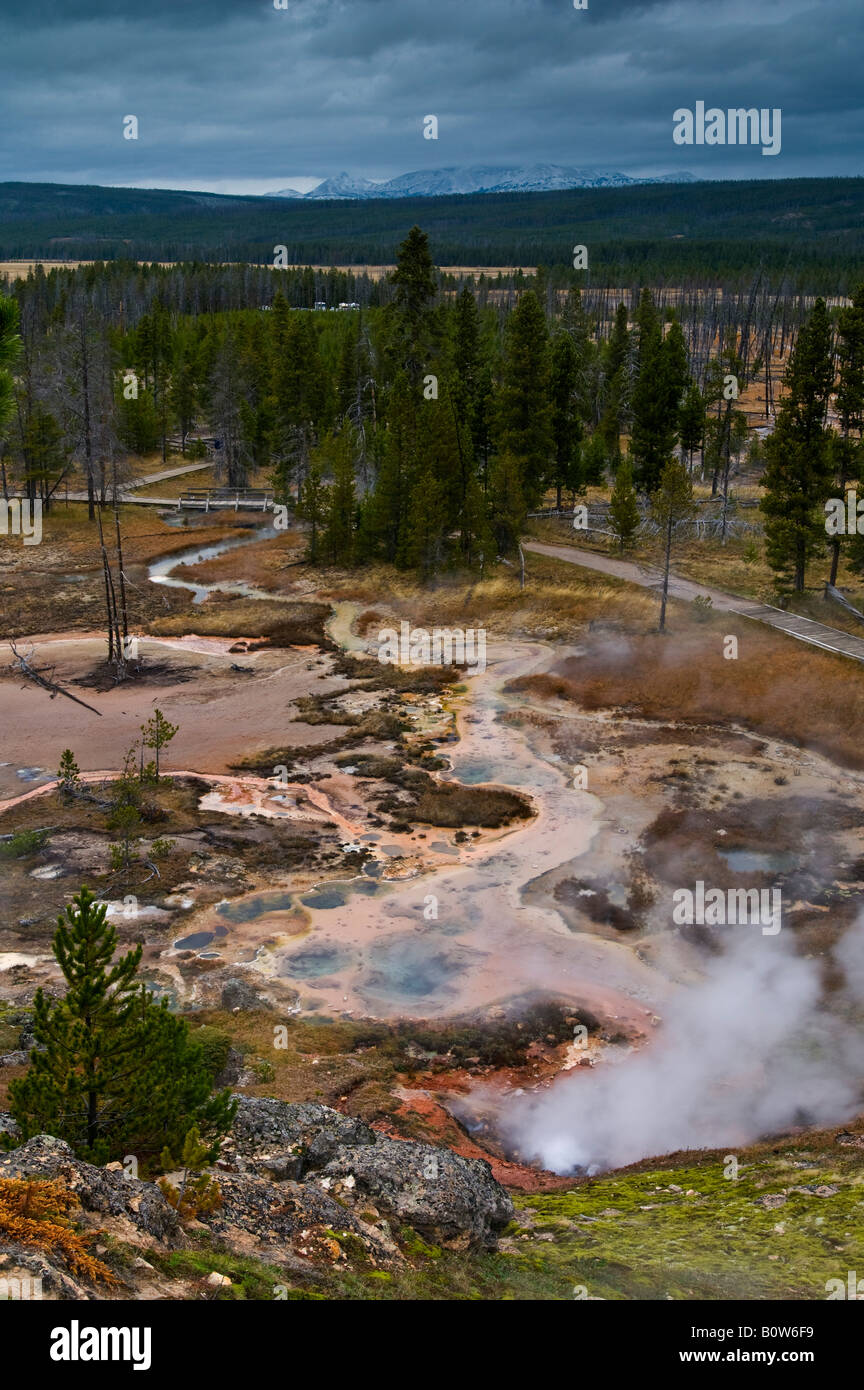 Steam rising from geothermal vents and hot springs at Artists Paintpots ...