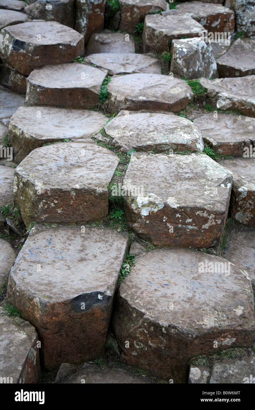 red basalt hexagonal rock formations at the giants causeway county ...