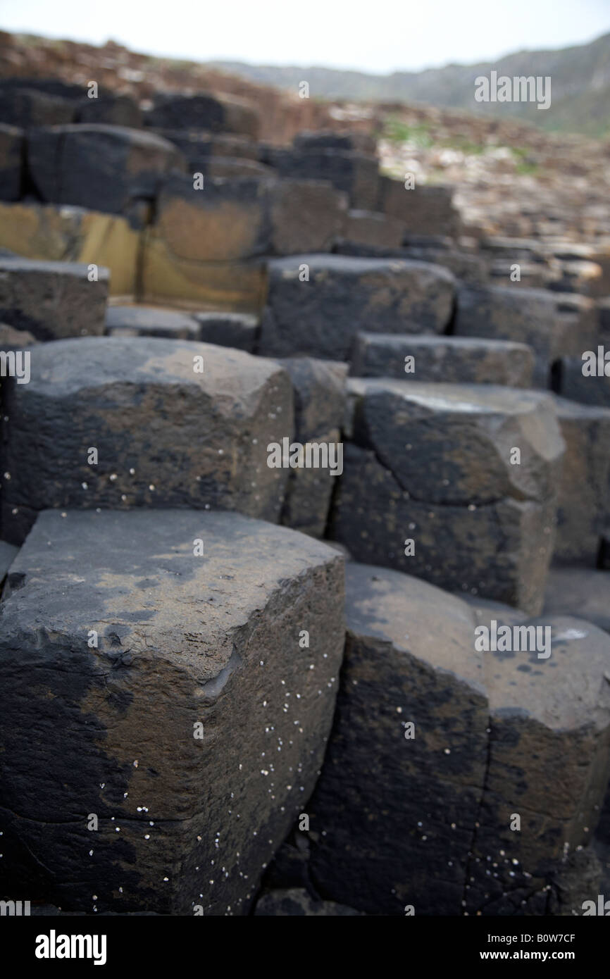 red basalt hexagonal rock formations at the giants causeway county ...