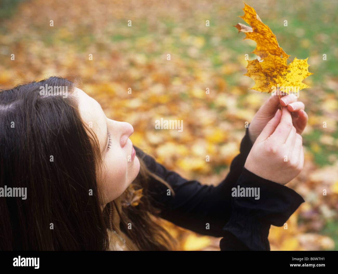 Looking leaf hi-res stock photography and images - Alamy