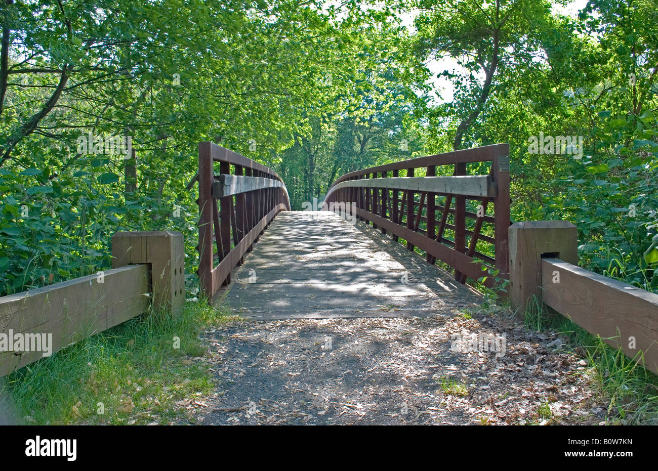 bridge Crossing into the Nature full of life and growth Stock Photo - Alamy