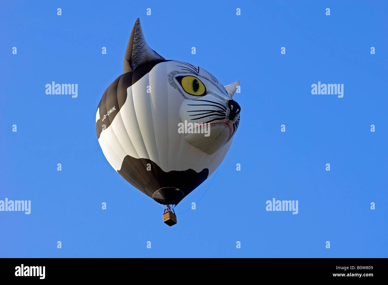 Hot air balloon in the shape of a cat's head, Montgolfiade, Muenster ...