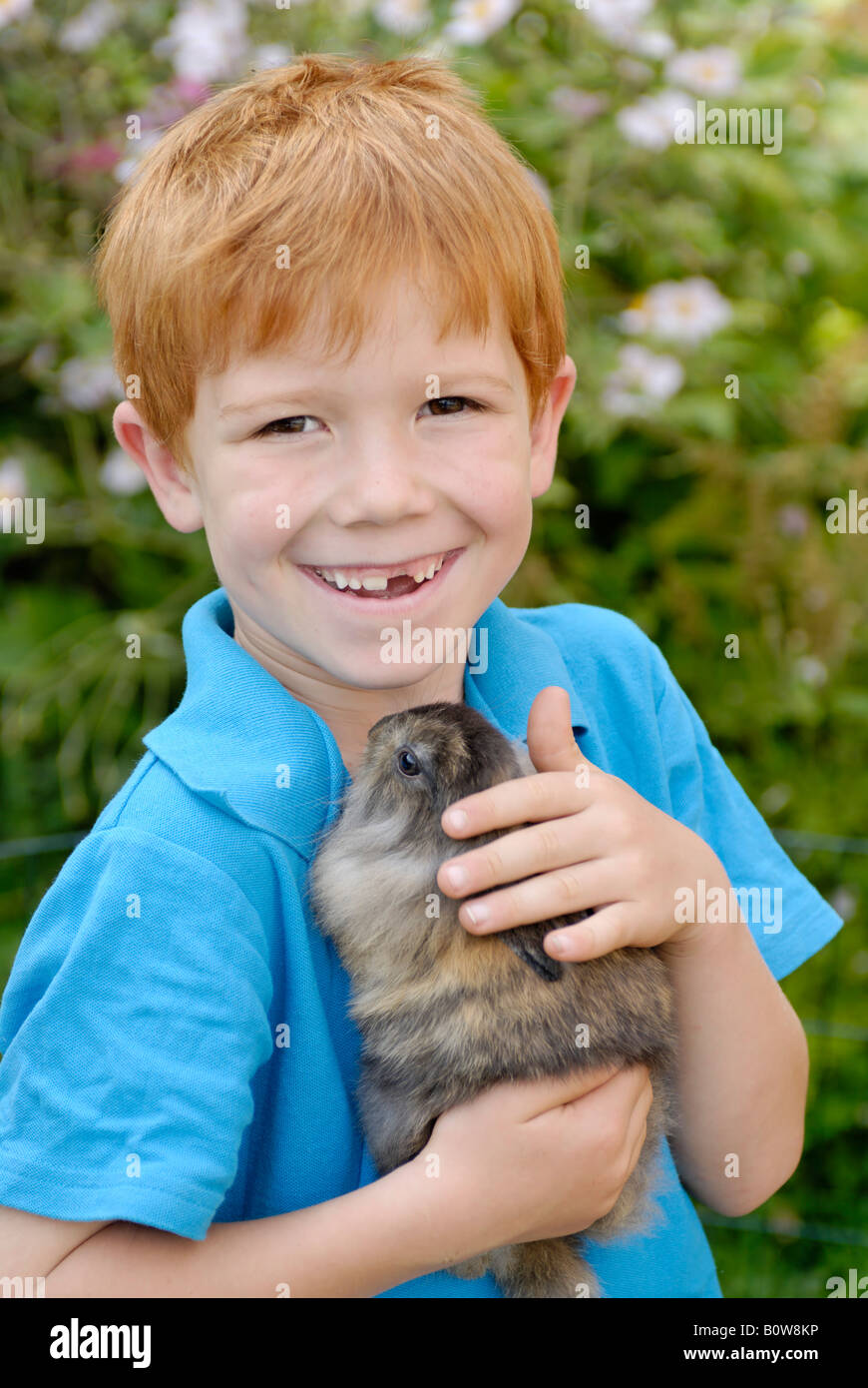 Snuggling rabbits hi-res stock photography and images - Alamy