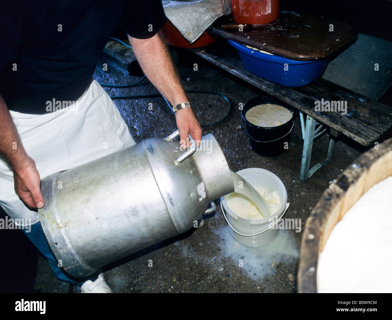 Dairy worker pouring milk from a milk jug into a plastic bucket Stock ...