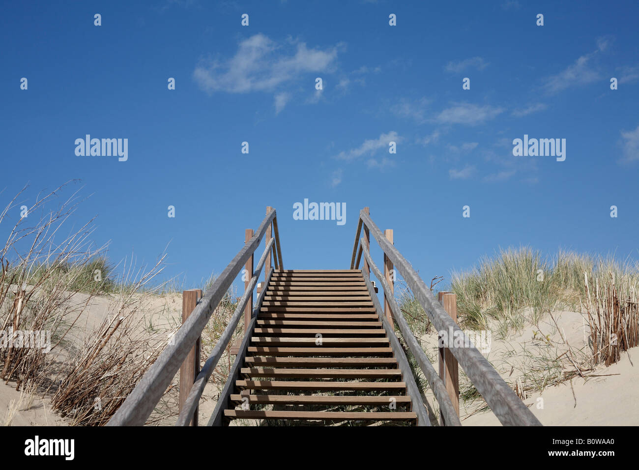 Wooden steep stairs hi-res stock photography and images - Alamy