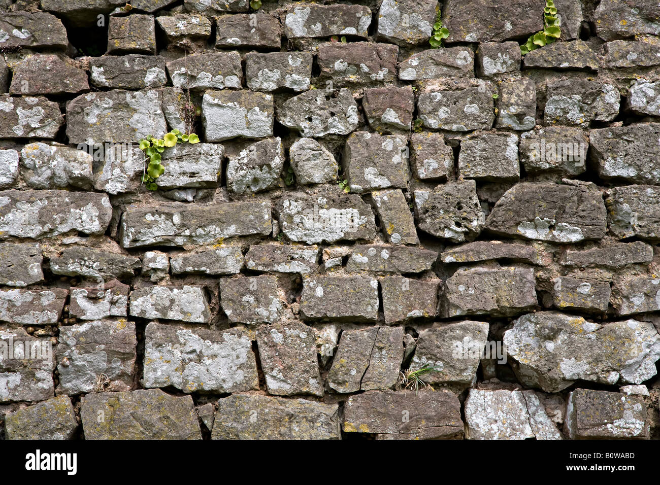 Caerleon roman town hi-res stock photography and images - Alamy