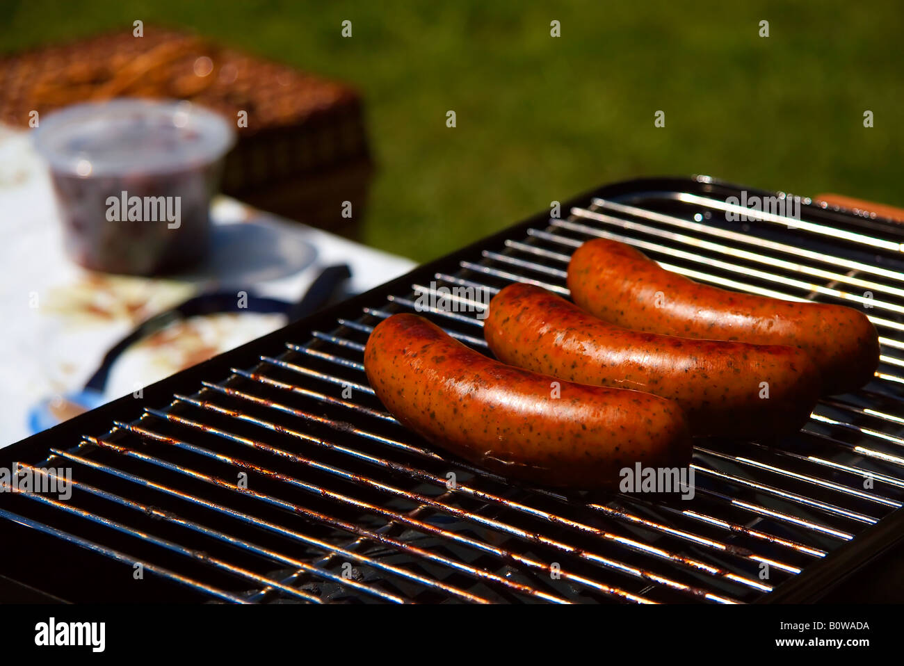 Vancouver Canada Lower Mainland Outdoor Portable Barbeque Cooking ...