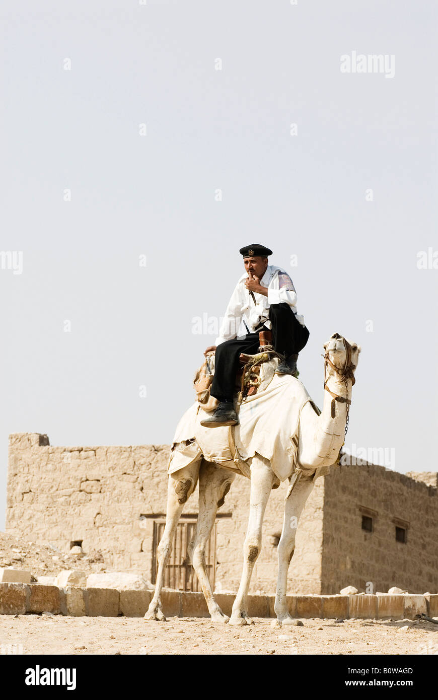 Camel guards hi-res stock photography and images - Alamy