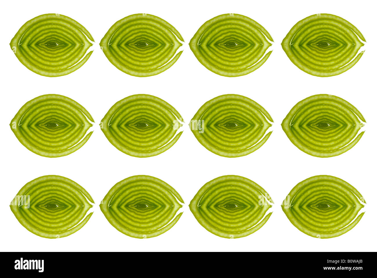 Leek slices in rows, cross-section, cutout Stock Photo - Alamy