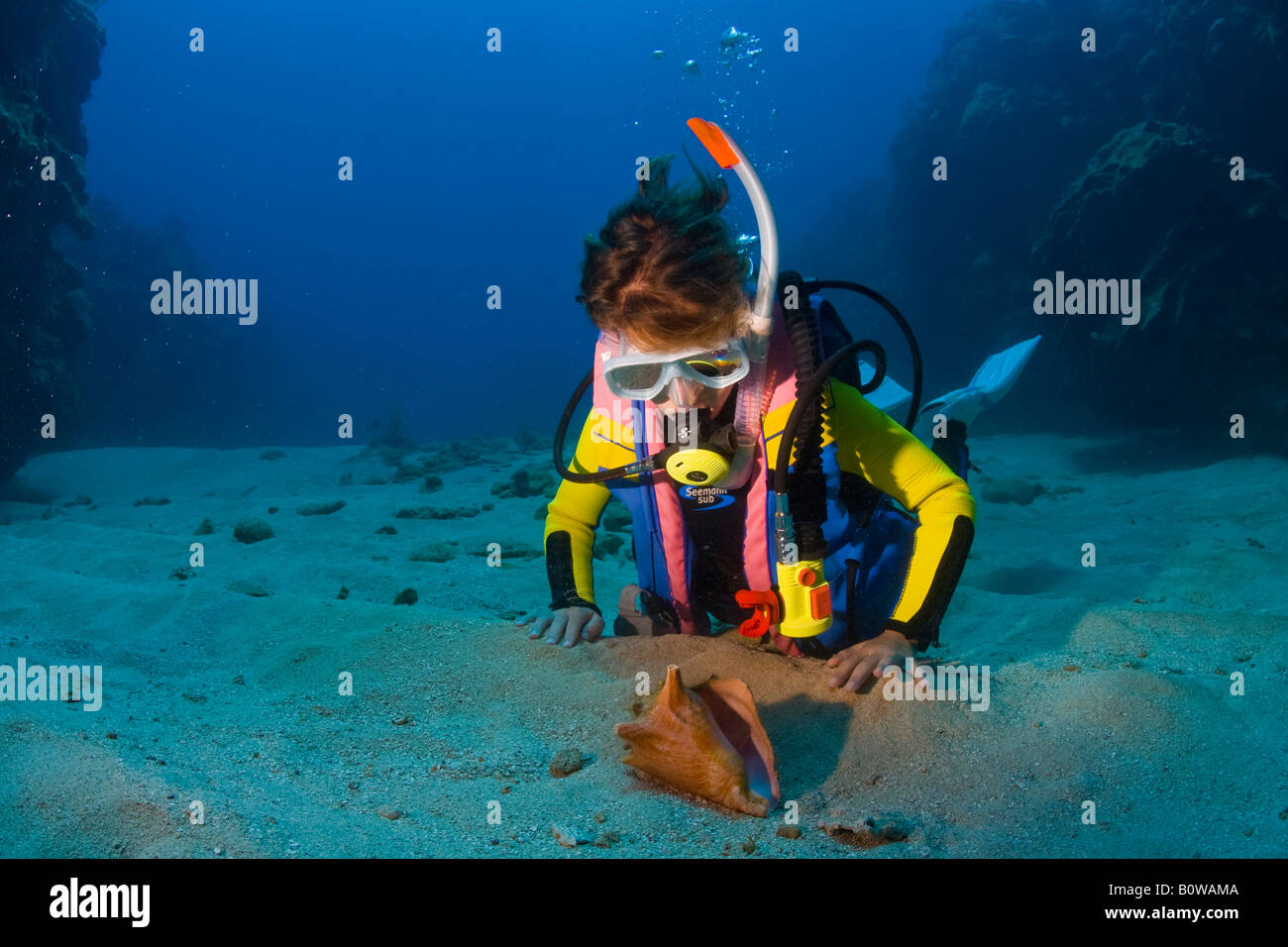 Conch divers hi-res stock photography and images - Alamy
