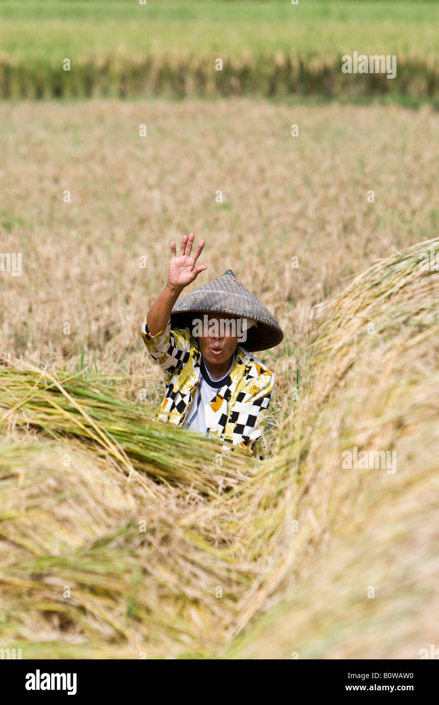 Farmer waving hi-res stock photography and images - Alamy