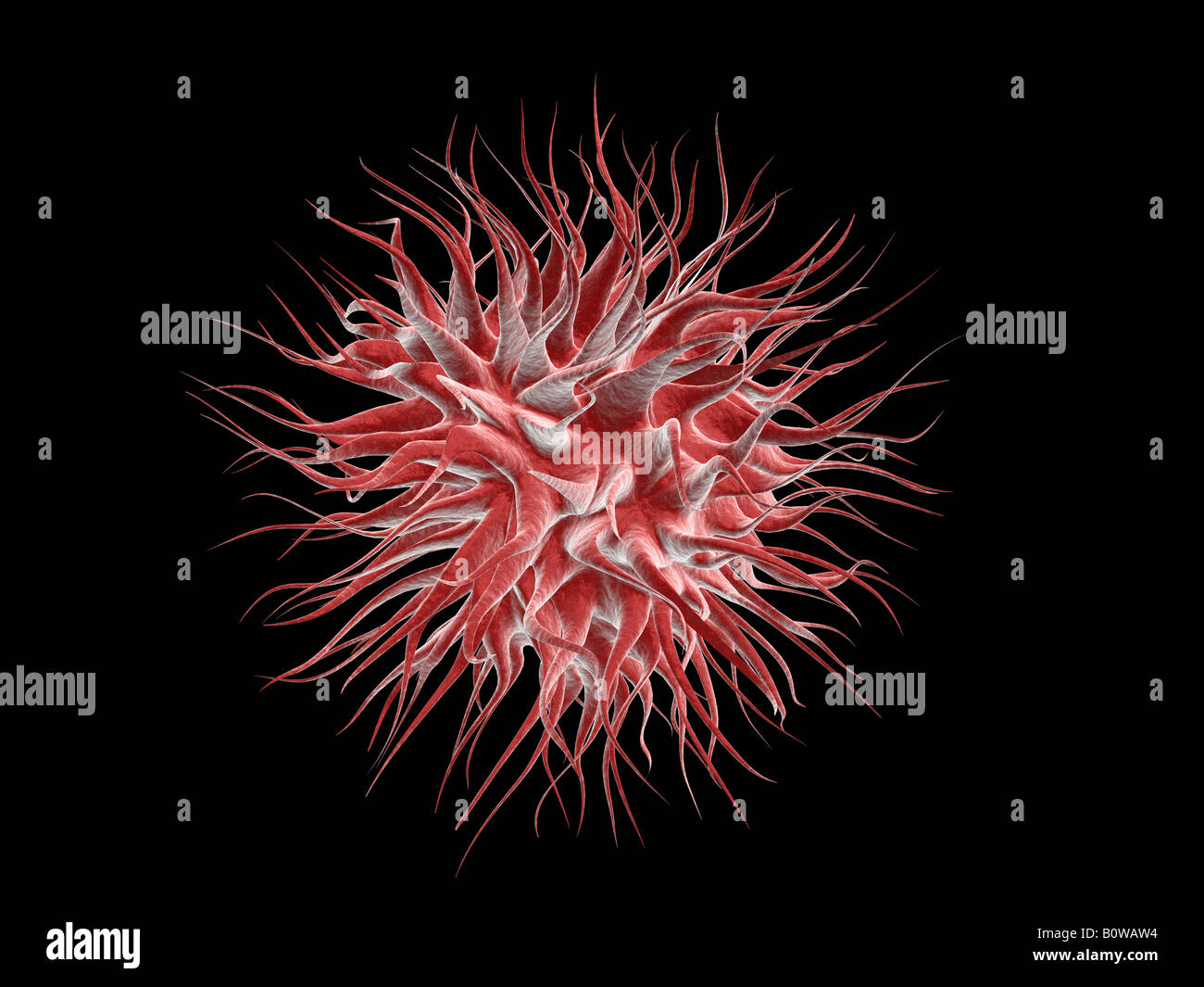 Nano antivirus hi-res stock photography and images - Alamy