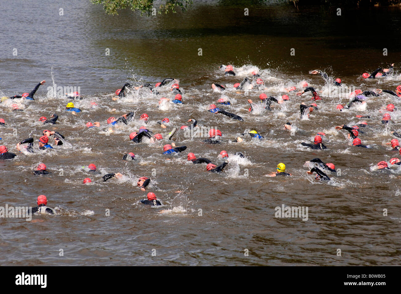 Triathlon swimmers in the Naab River, Kallmuenz, Upper Palatinate ...