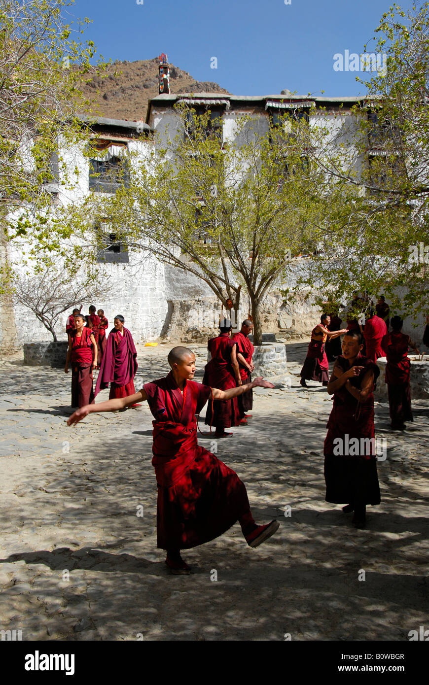 Buddhist monks wearing red robes debating in the courtyard of the Sera ...