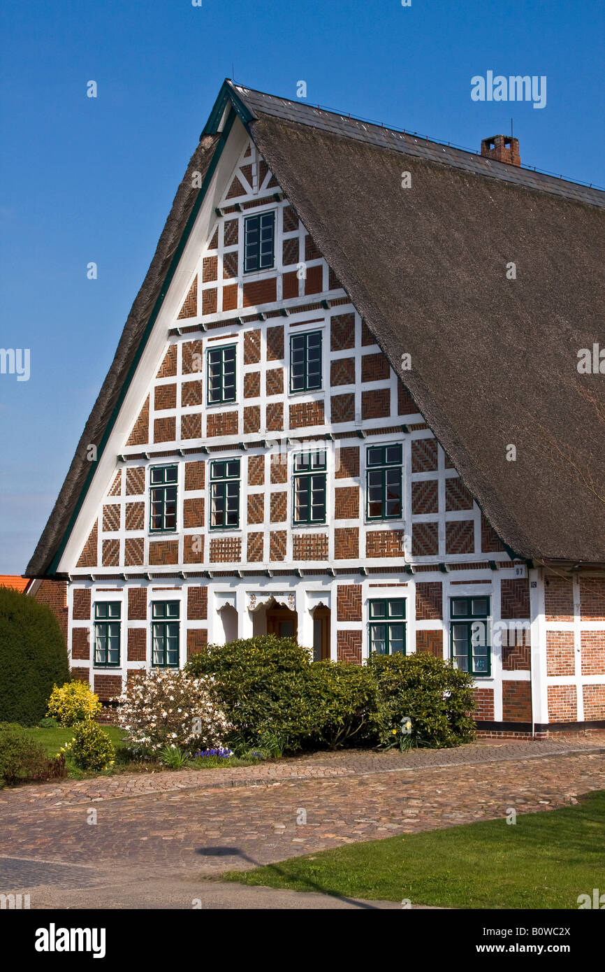 Historic timber-framed house with thatched roof, old farmhouse, Jork ...