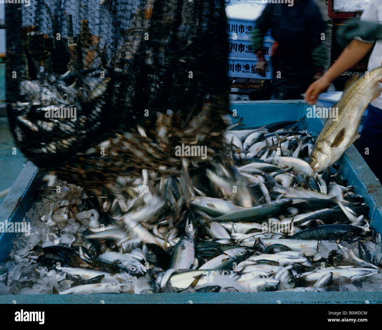 Catch net hi-res stock photography and images - Alamy