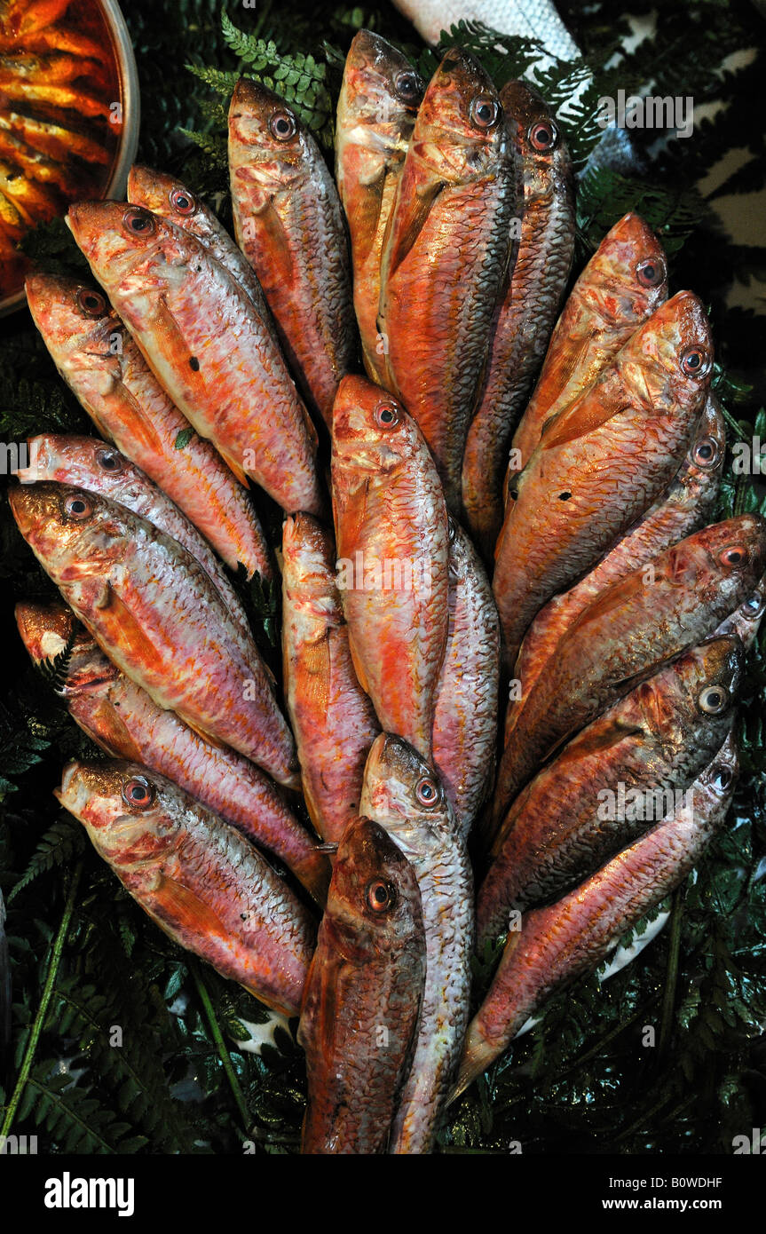 Frischer fisch istanbul hi-res stock photography and images - Alamy