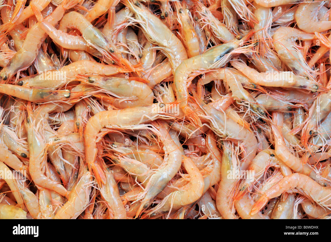 Uncooked foods hi-res stock photography and images - Alamy