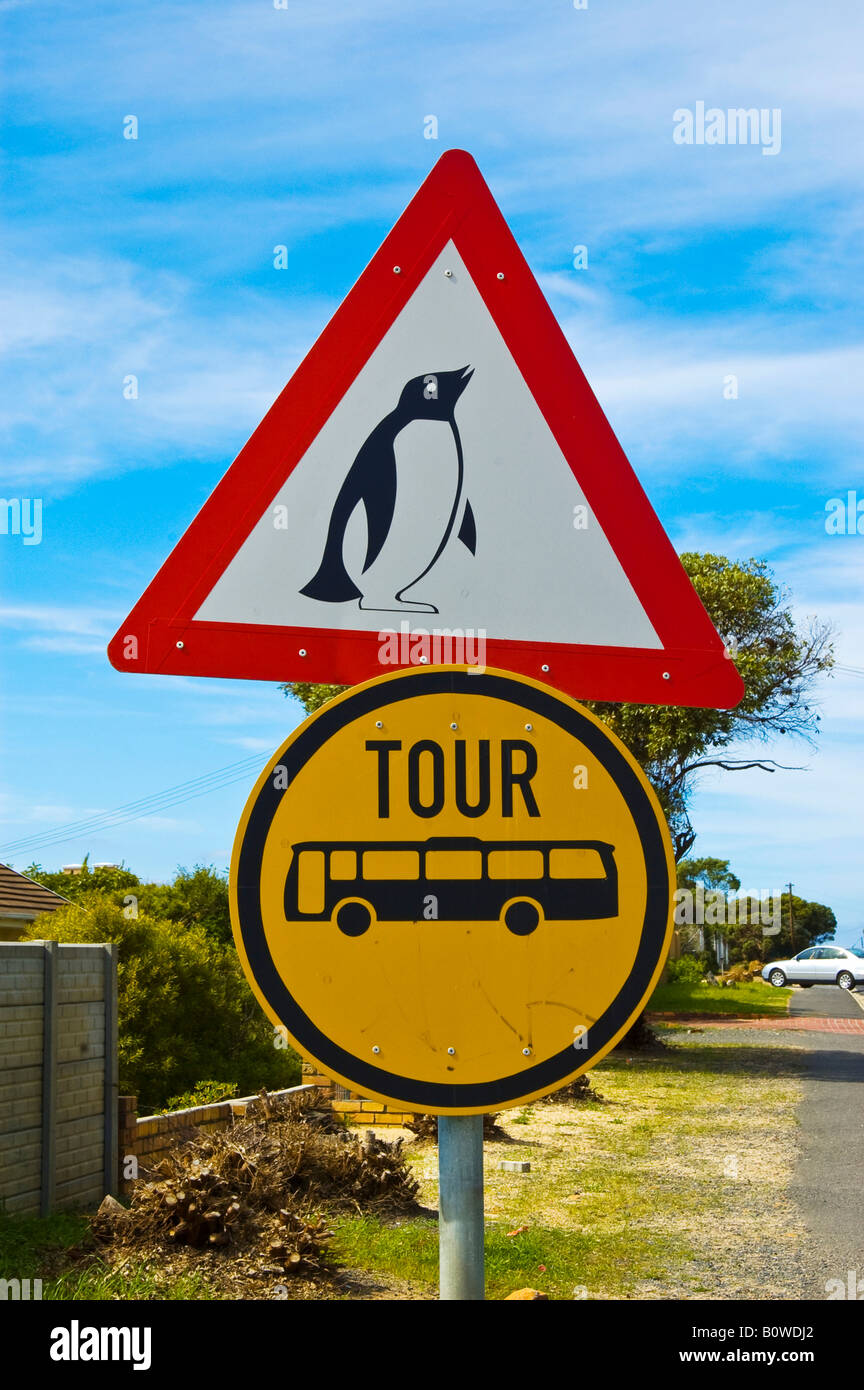 Penguin crossing road sign, South Africa Stock Photo - Alamy