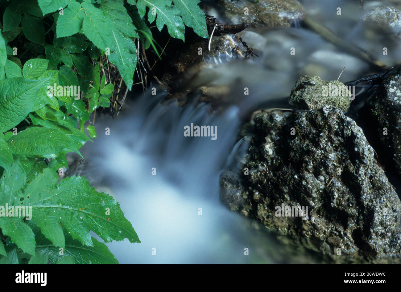 Streaming streams the ups water waters hi-res stock photography and ...