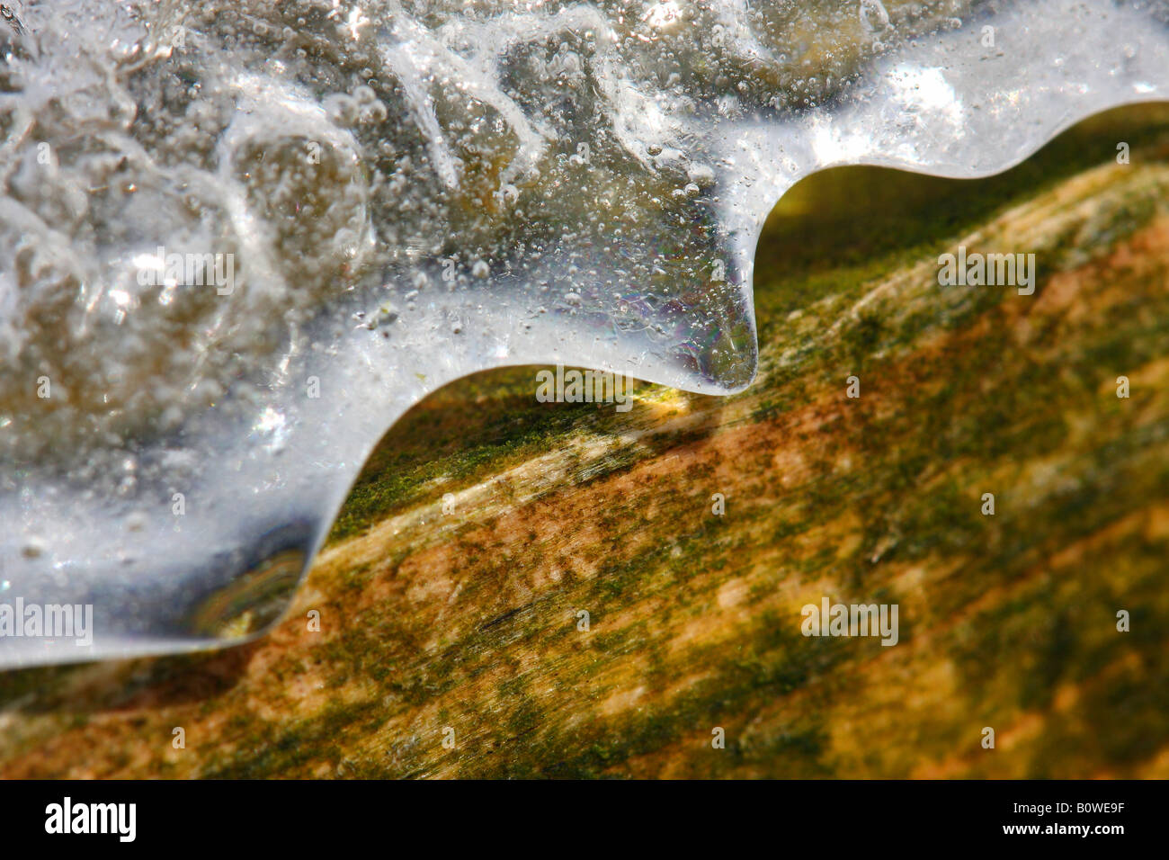 Macro ice hi-res stock photography and images - Alamy