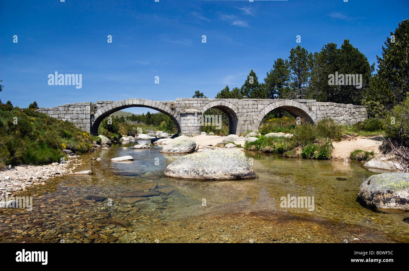 Pont du Tarn bridge, Parc National des Cévennes, Cevennes National Park ...