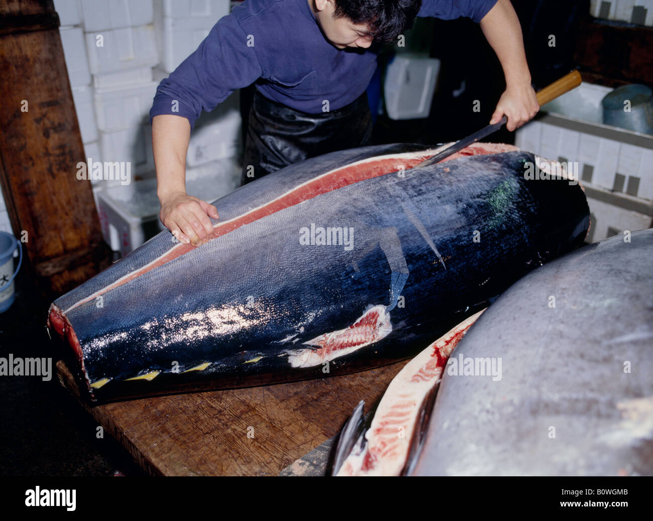 Man cutting tuna Stock Photo - Alamy