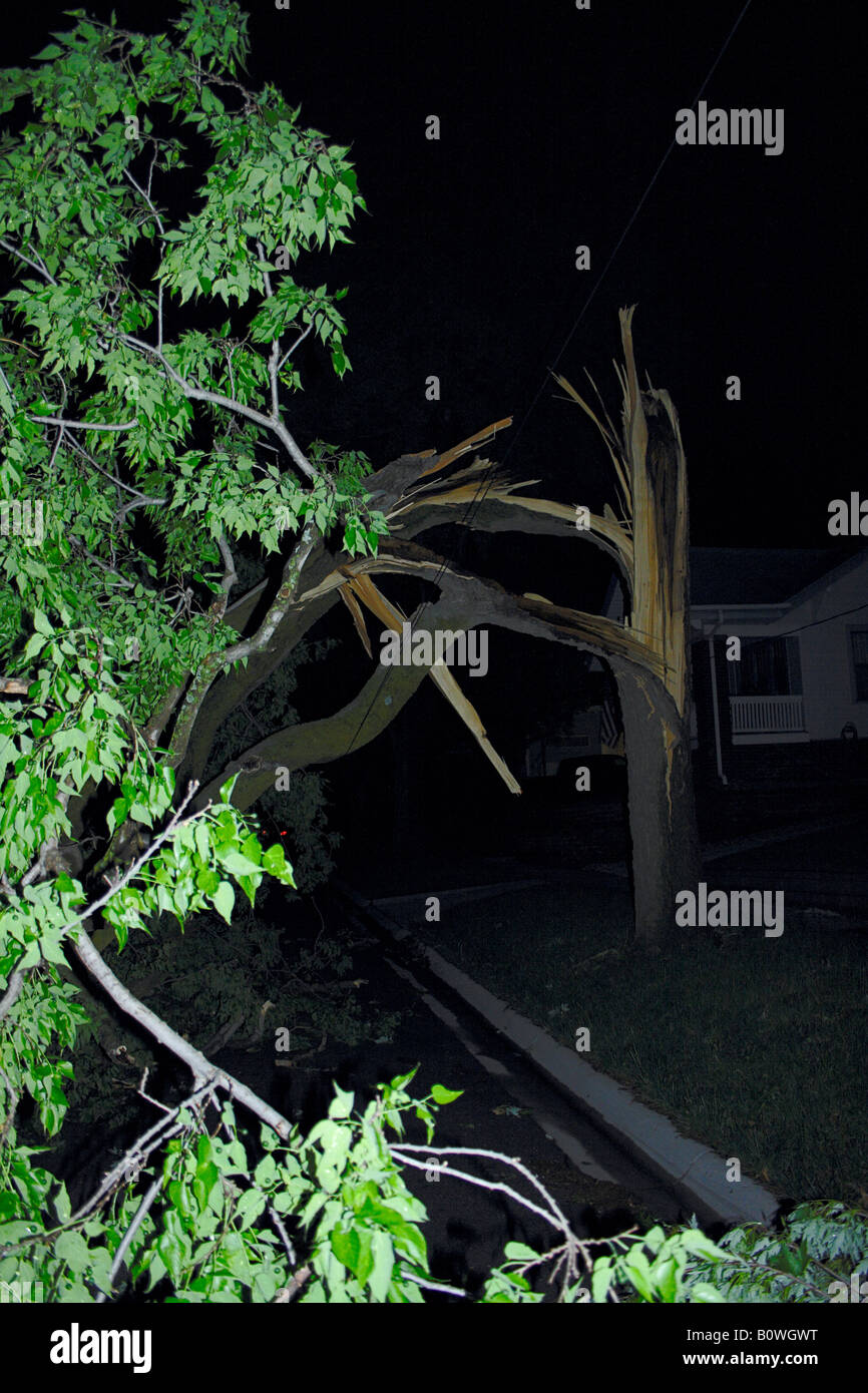 A fallen tree which has pulled down an electric line at night Stock ...