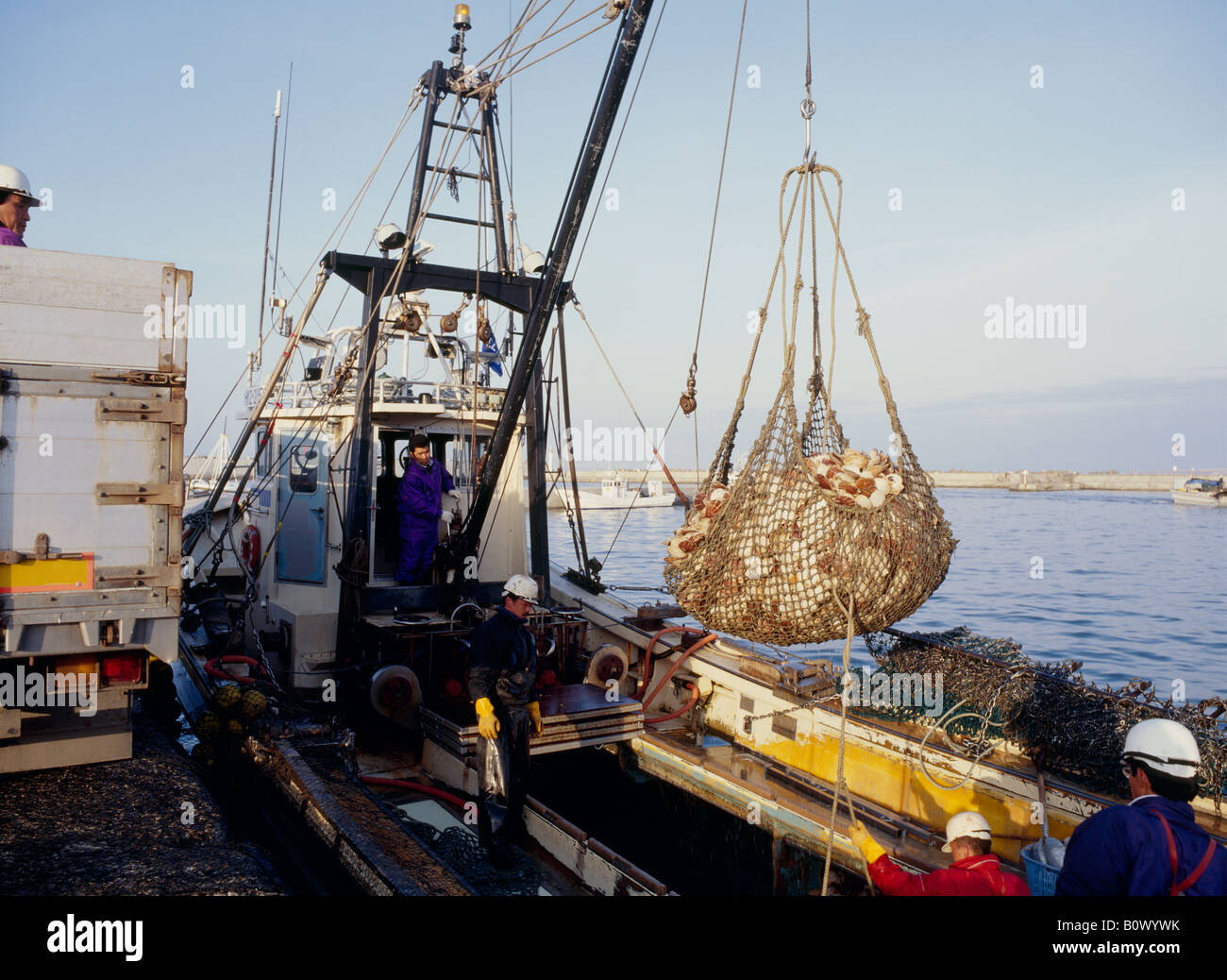 Scallop net hi-res stock photography and images - Alamy