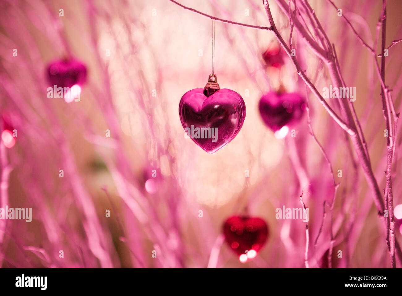 Heart shaped decorations hanging on a tree Stock Photo - Alamy