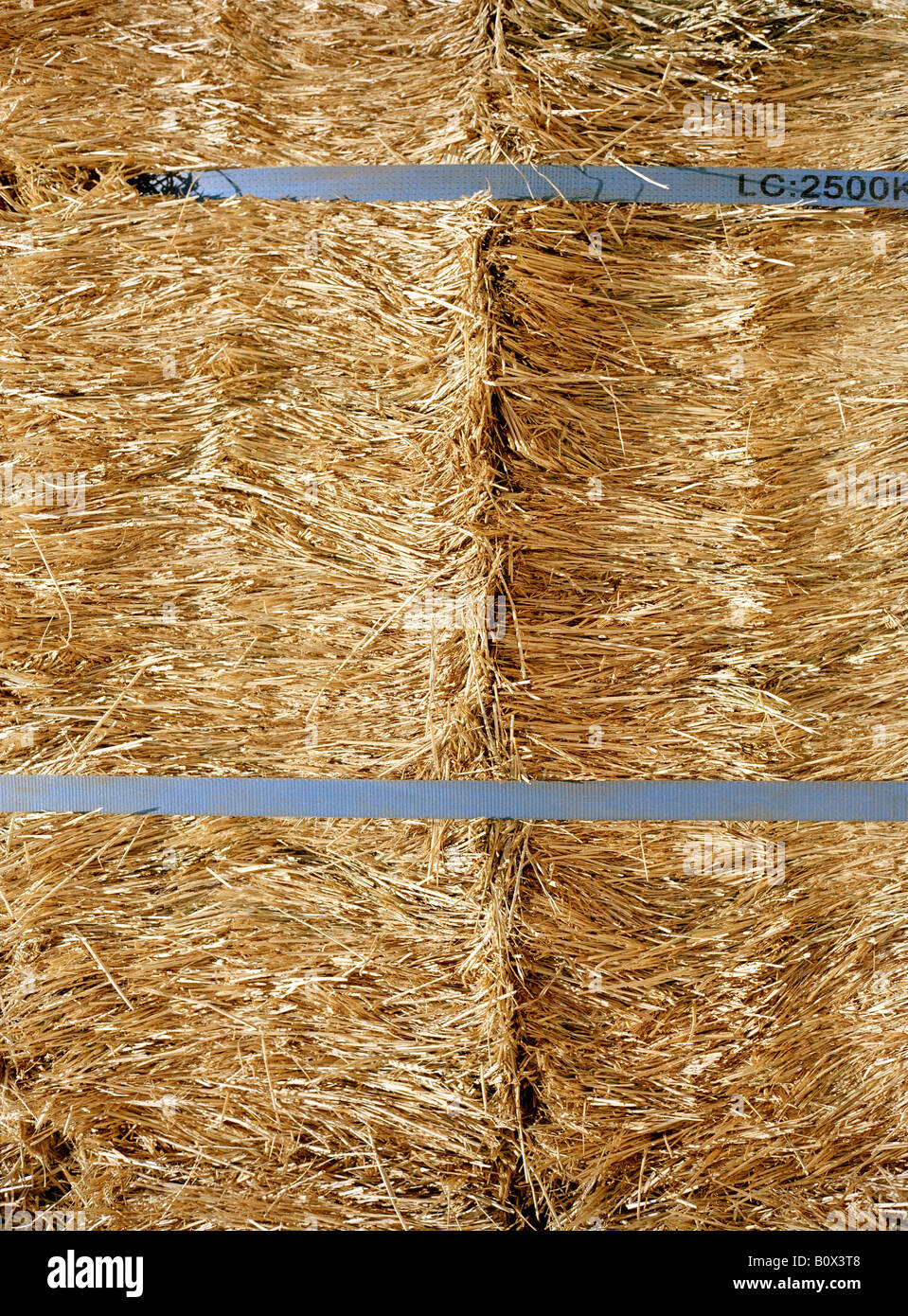 Two bales of hay, close up Stock Photo - Alamy