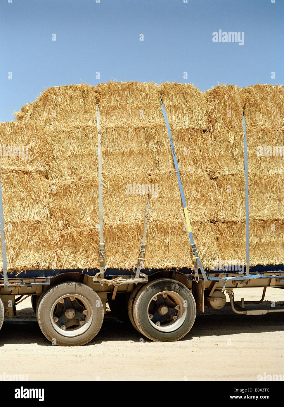 Trucking Hay Bails