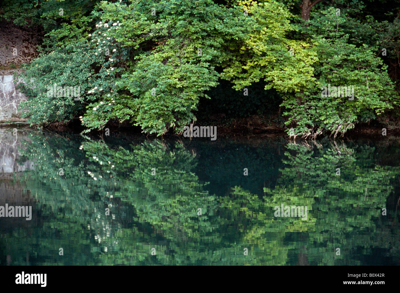 Overhanging trees on a lake, Austria Stock Photo - Alamy