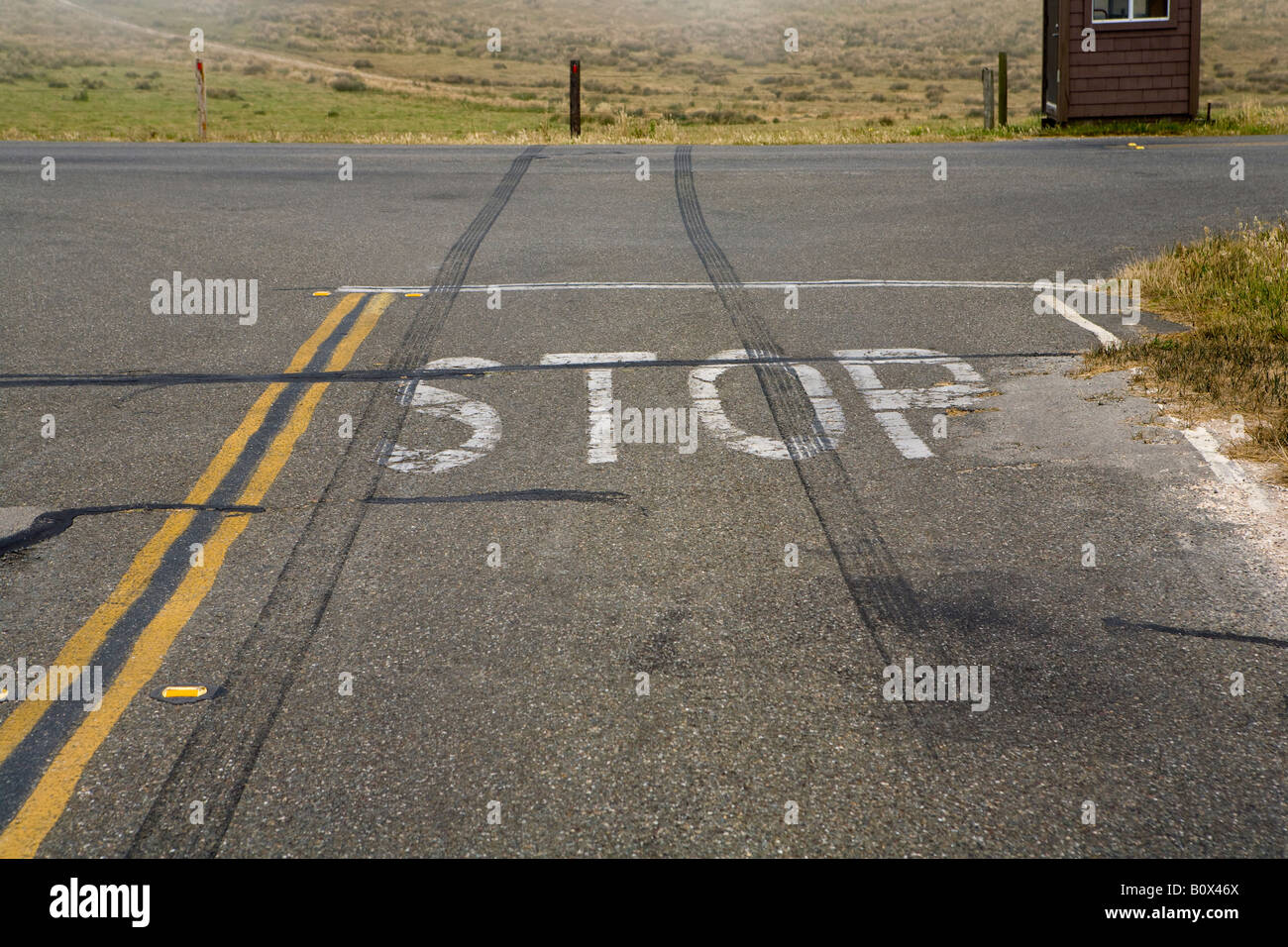 Car Skidding To A Stop
