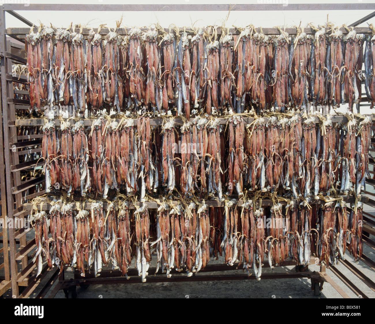 Cod rack hi-res stock photography and images - Alamy
