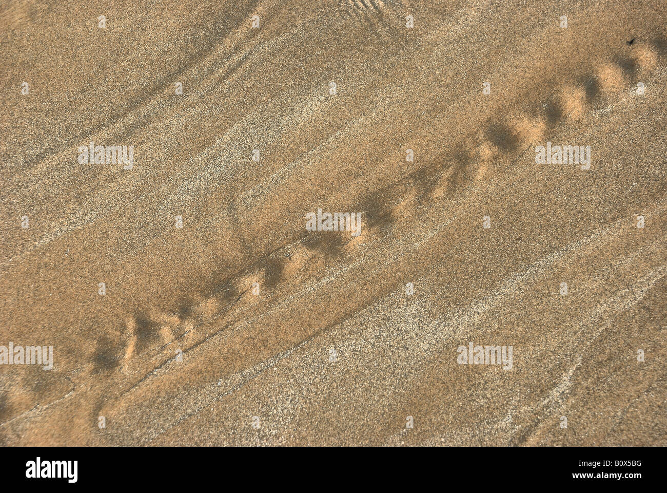 Water on the sand Stock Photo - Alamy