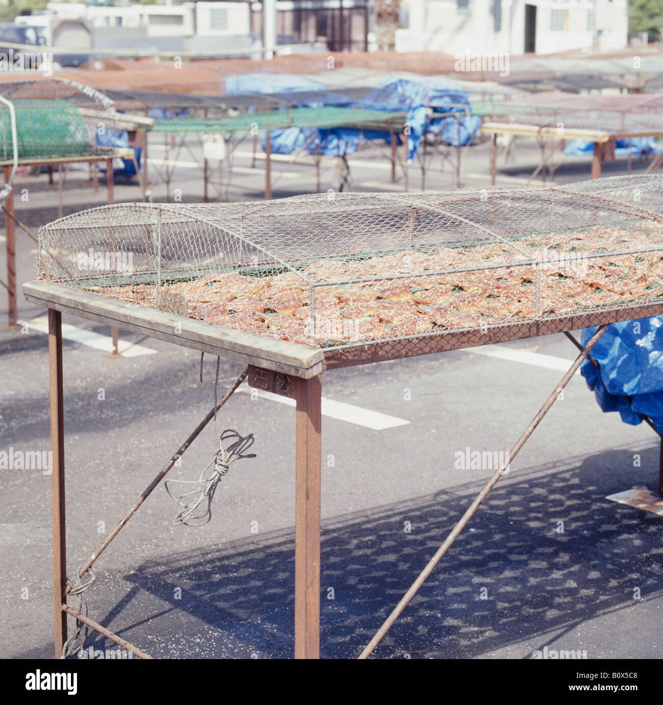 Sole fish drying on rack Stock Photo - Alamy