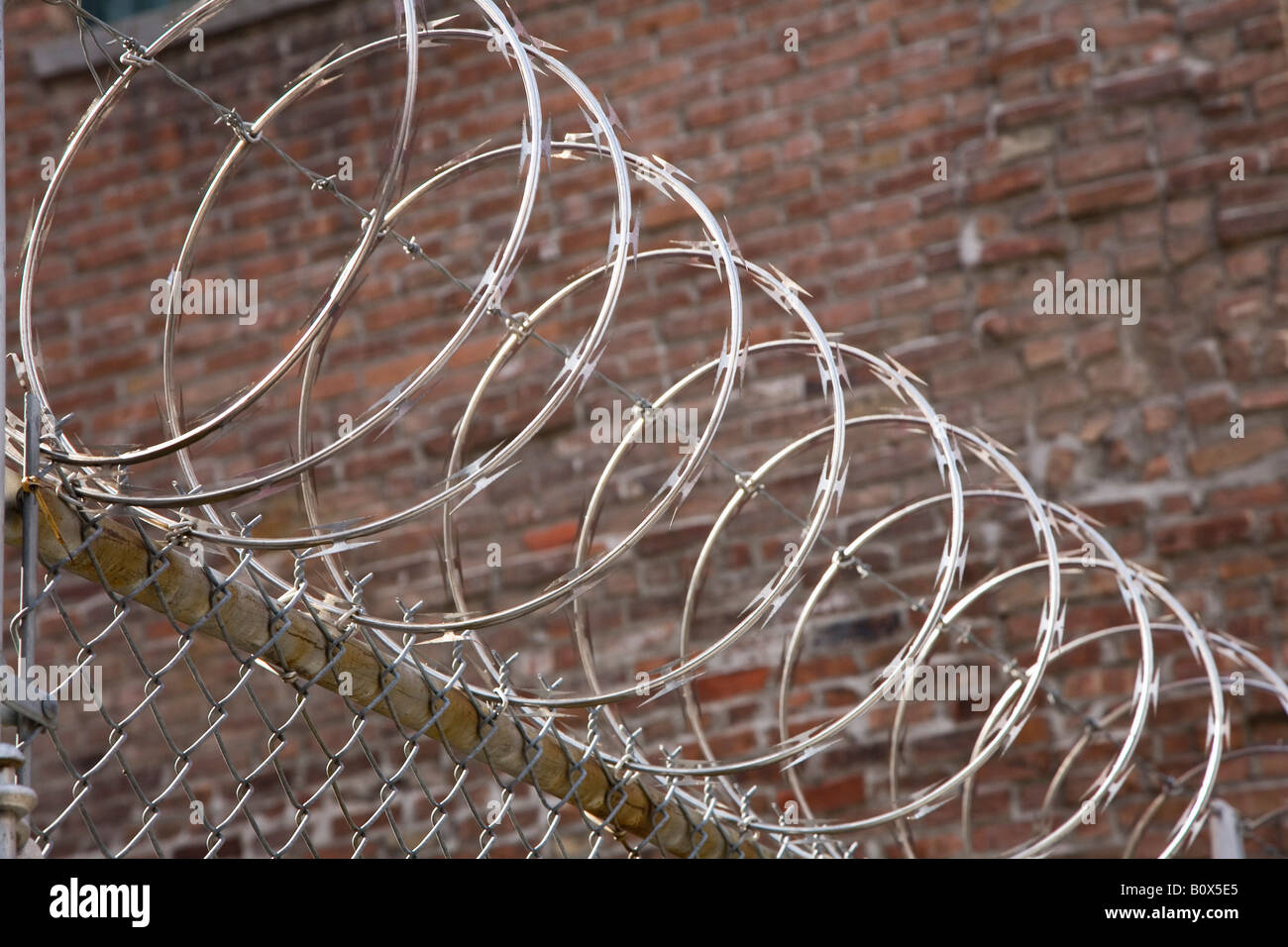 Razor wire fence wall hi-res stock photography and images - Alamy