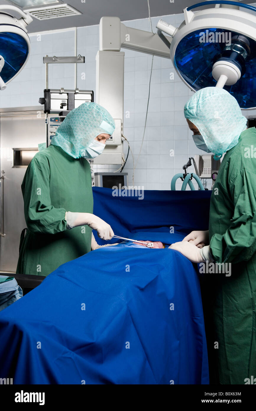 Surgeons quarter hi-res stock photography and images - Alamy