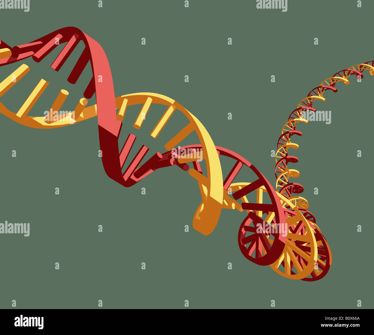 Dna illustration painting hi-res stock photography and images - Alamy