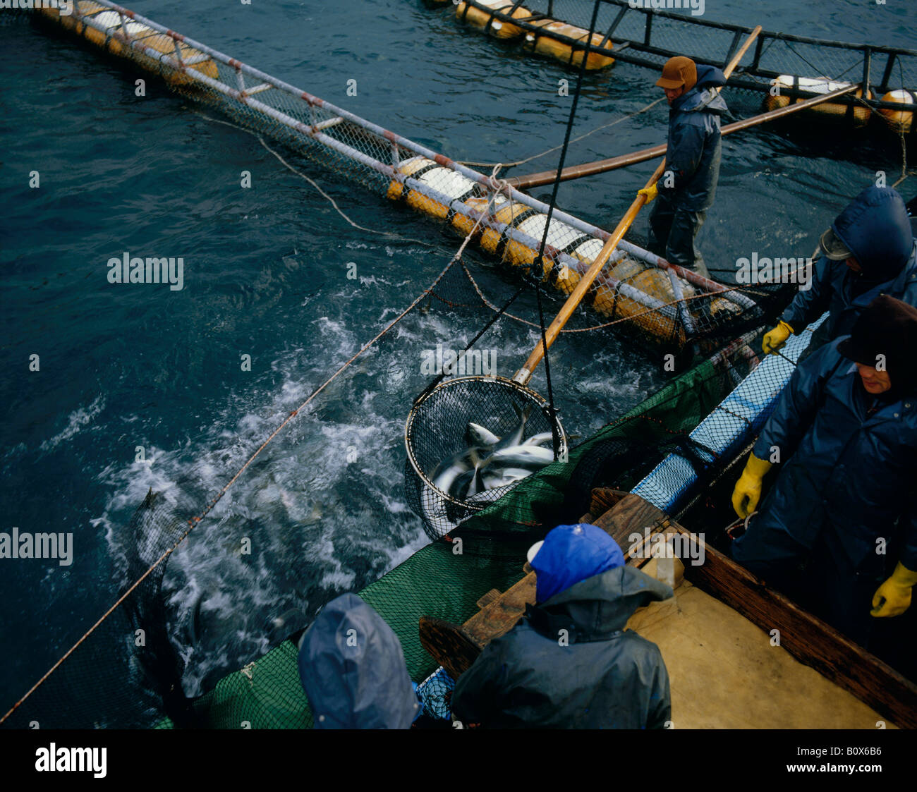 Japan fishermen fish farm hi-res stock photography and images - Alamy