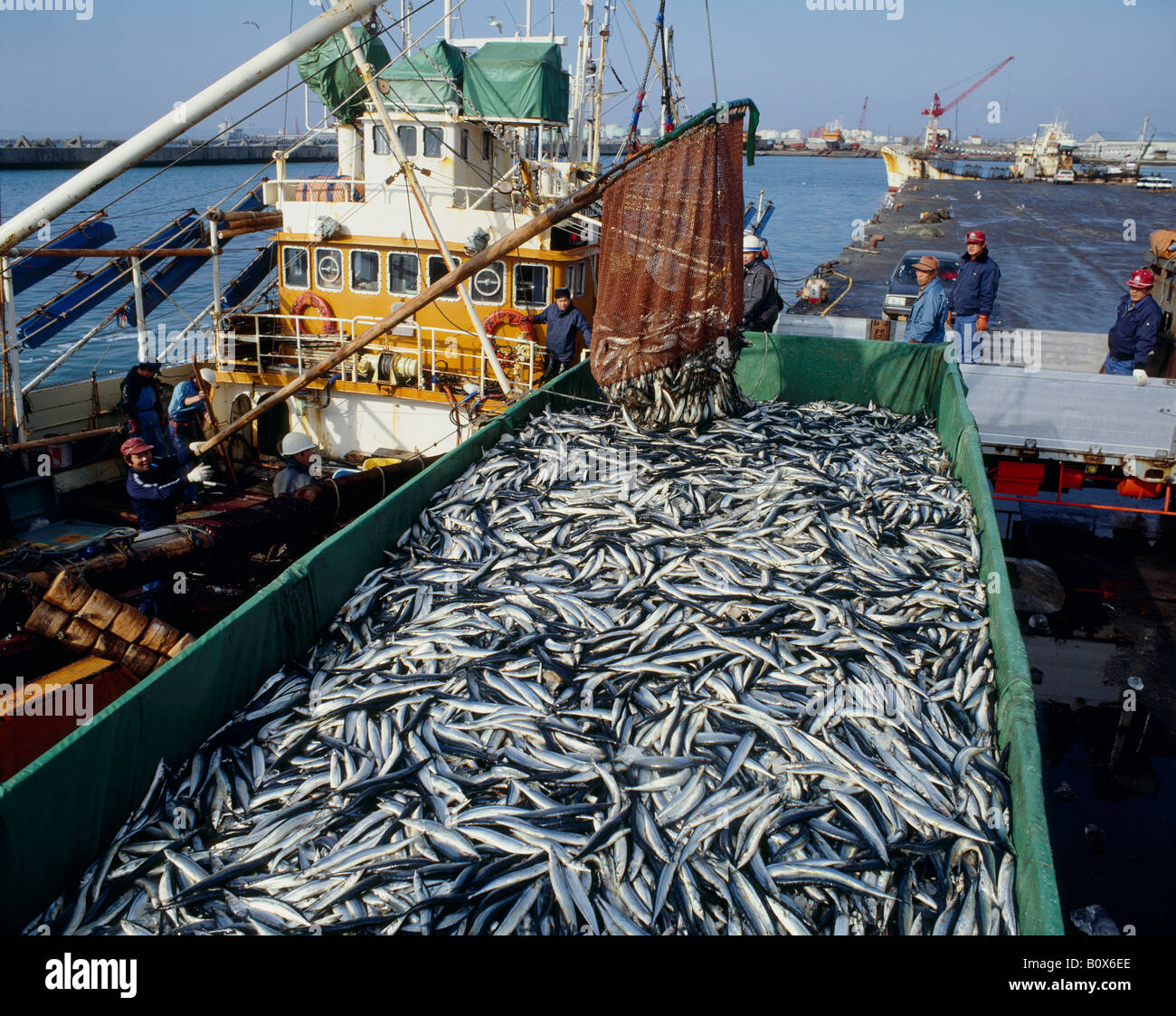 Saury Fish Japan High Resolution Stock Photography and Images - Alamy