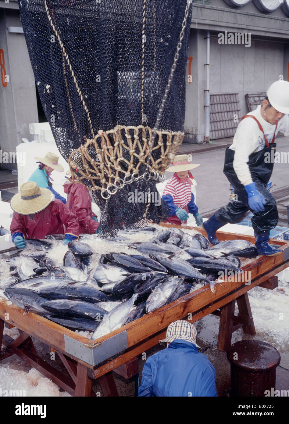 Japan tuna fisherman hi-res stock photography and images - Alamy