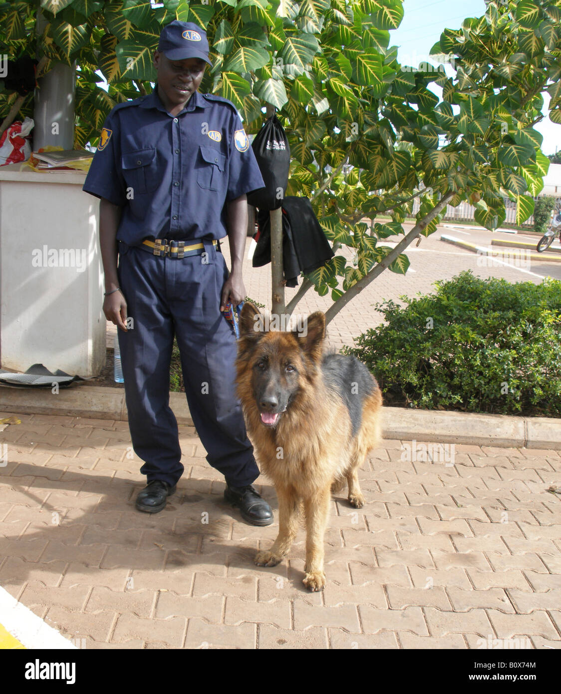 Crime dog hi-res stock photography and images - Alamy
