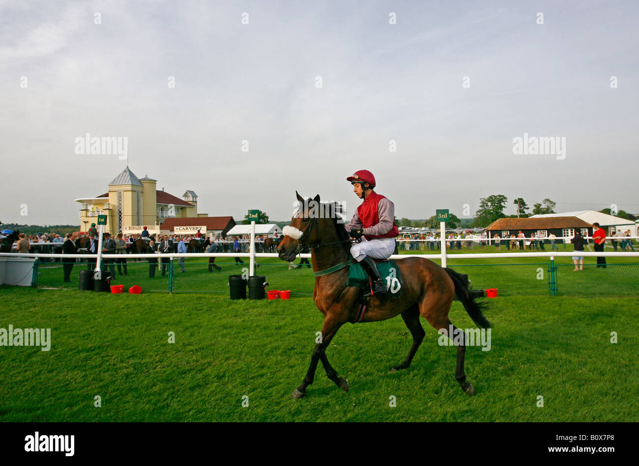 The Parade Ring and Winner s Enclosure Towcester Racecourse Stock Photo ...