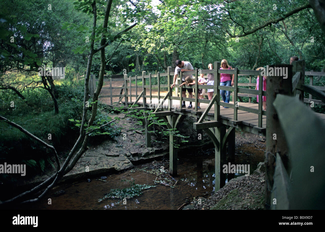 Pooh Sticks Bridge Ashdown Forest Stock Photo - Alamy