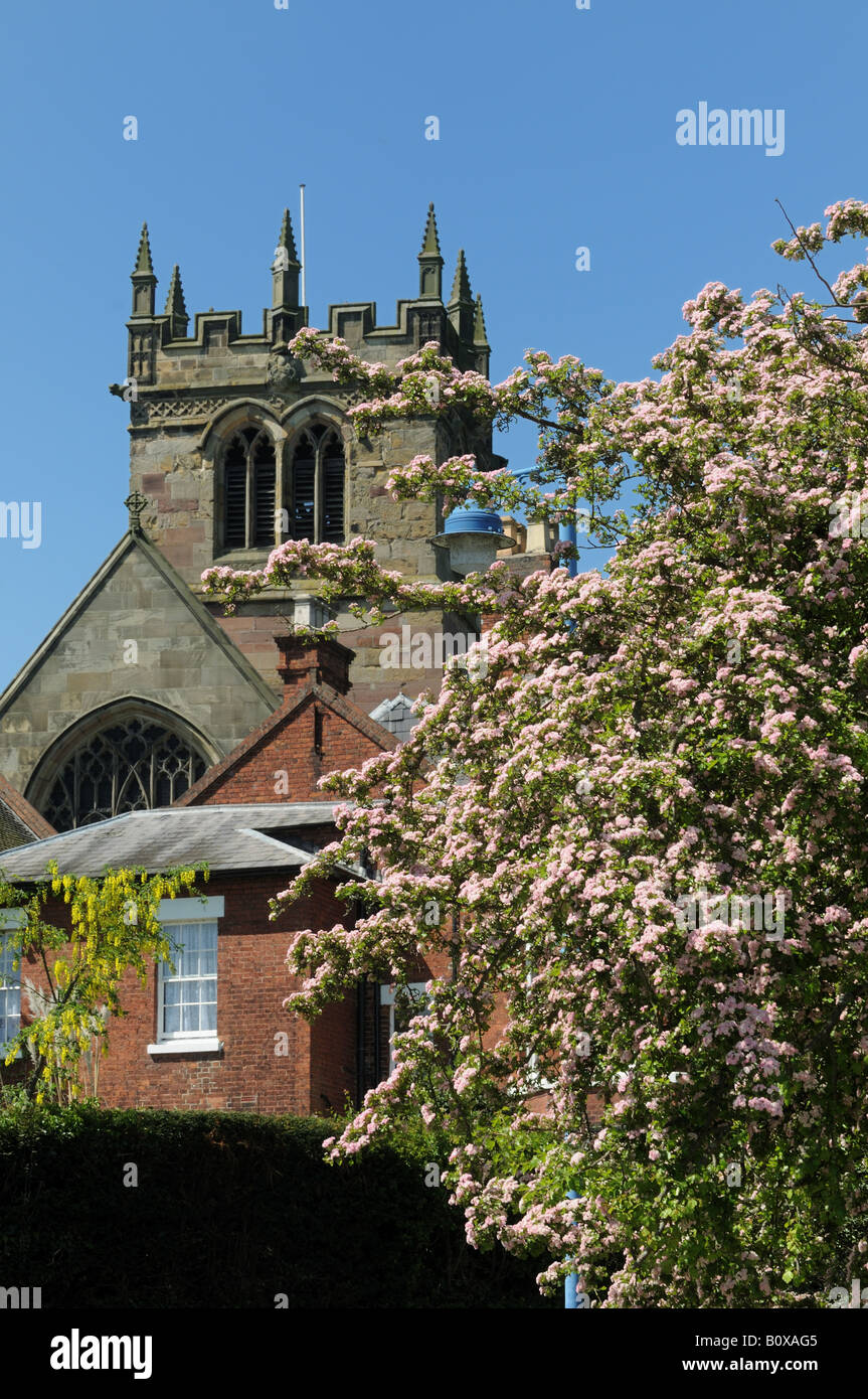 Ellesmere shropshire mary church hi-res stock photography and images ...
