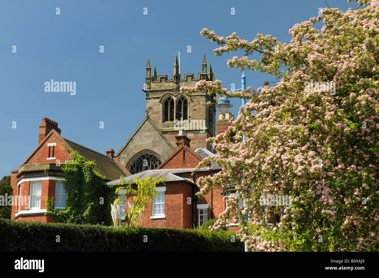 St Mary' s church and Spring blossom Ellesmere Shropshire England UK ...