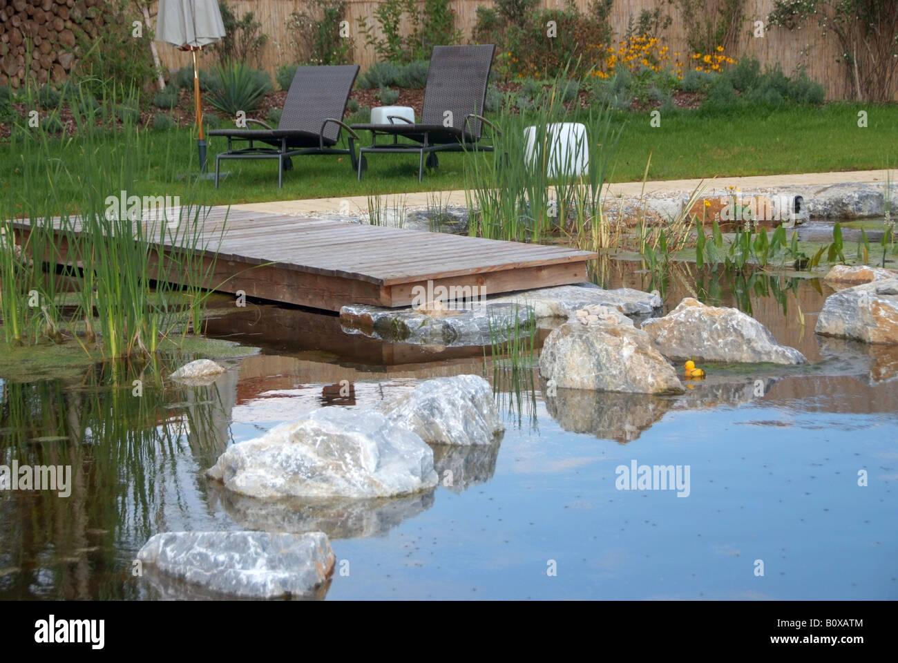 garden pond and boardwalk Stock Photo - Alamy